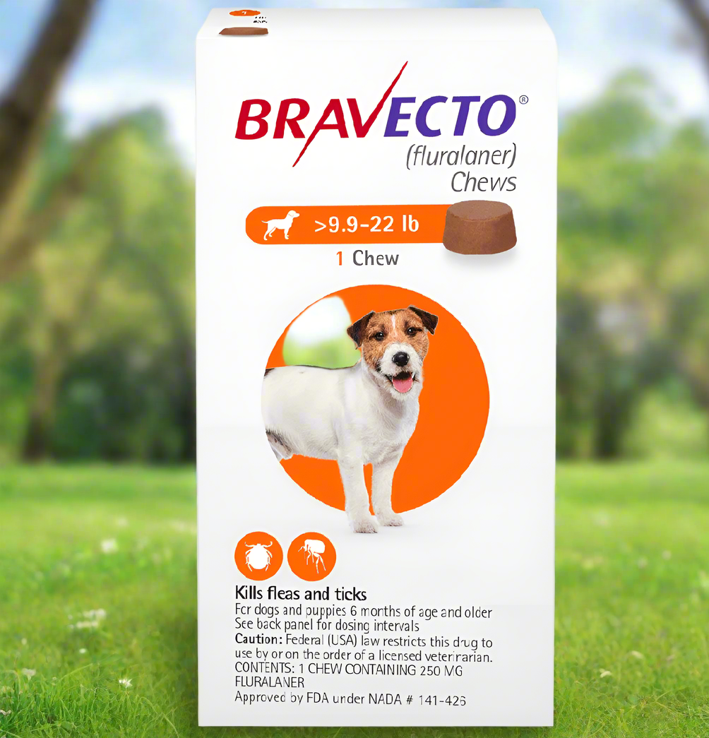 Bravecto Chewable Tablet 1000 Mg Fluralaner For Dogs 4.5-10 Kg – ALL4PETS
